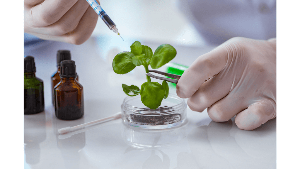 Biotechnology: Principles and Processes – edutales